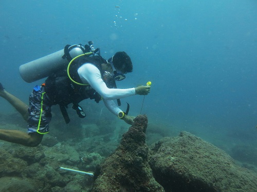 Marine Biologist Interview – Offbeat, unusual, unconventional ...