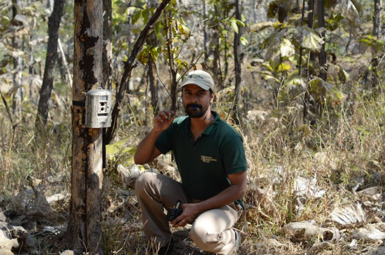 Conservation Economics Professional Interview – Offbeat, unusual ...