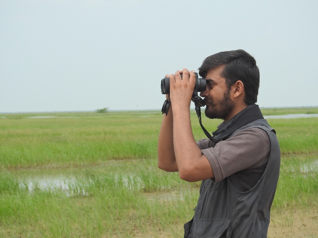 Bird Ecologist Interview – Offbeat, unusual, unconventional ...